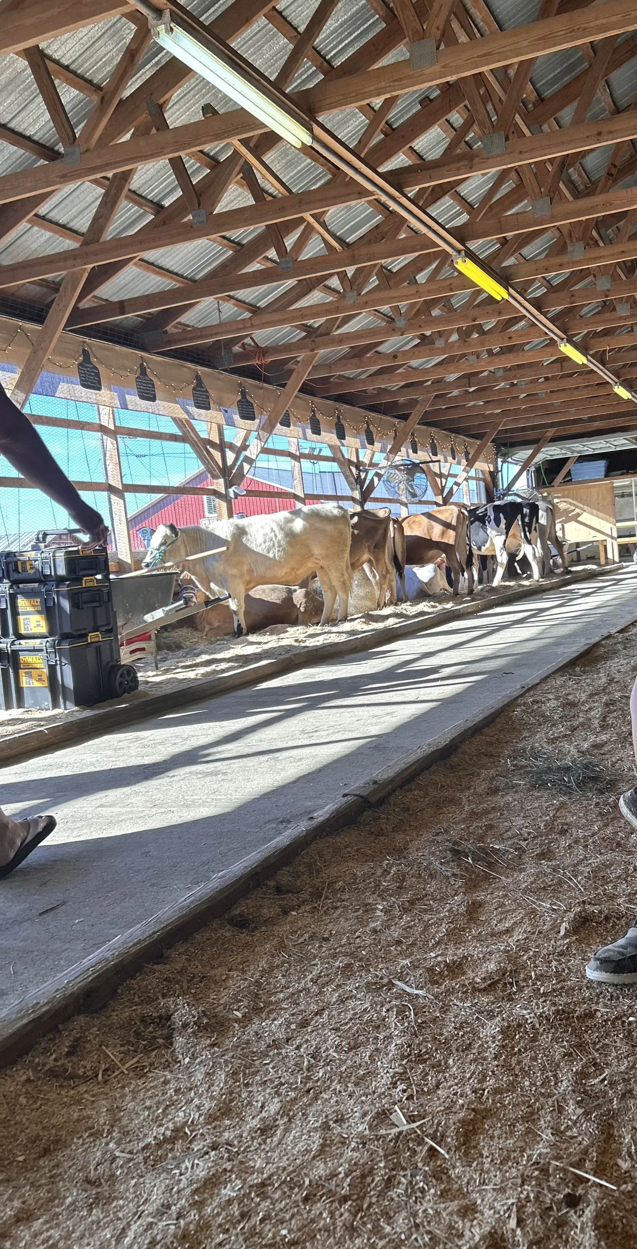 Recognizing Dairy Farms! — The Bridge Weekly Sho-case