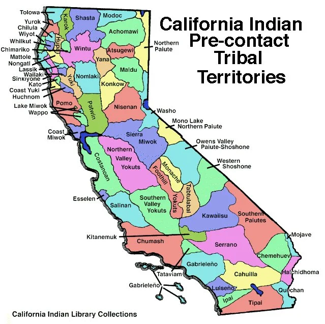 Lesson 1: Native California — California Native Harm Reduction Hub