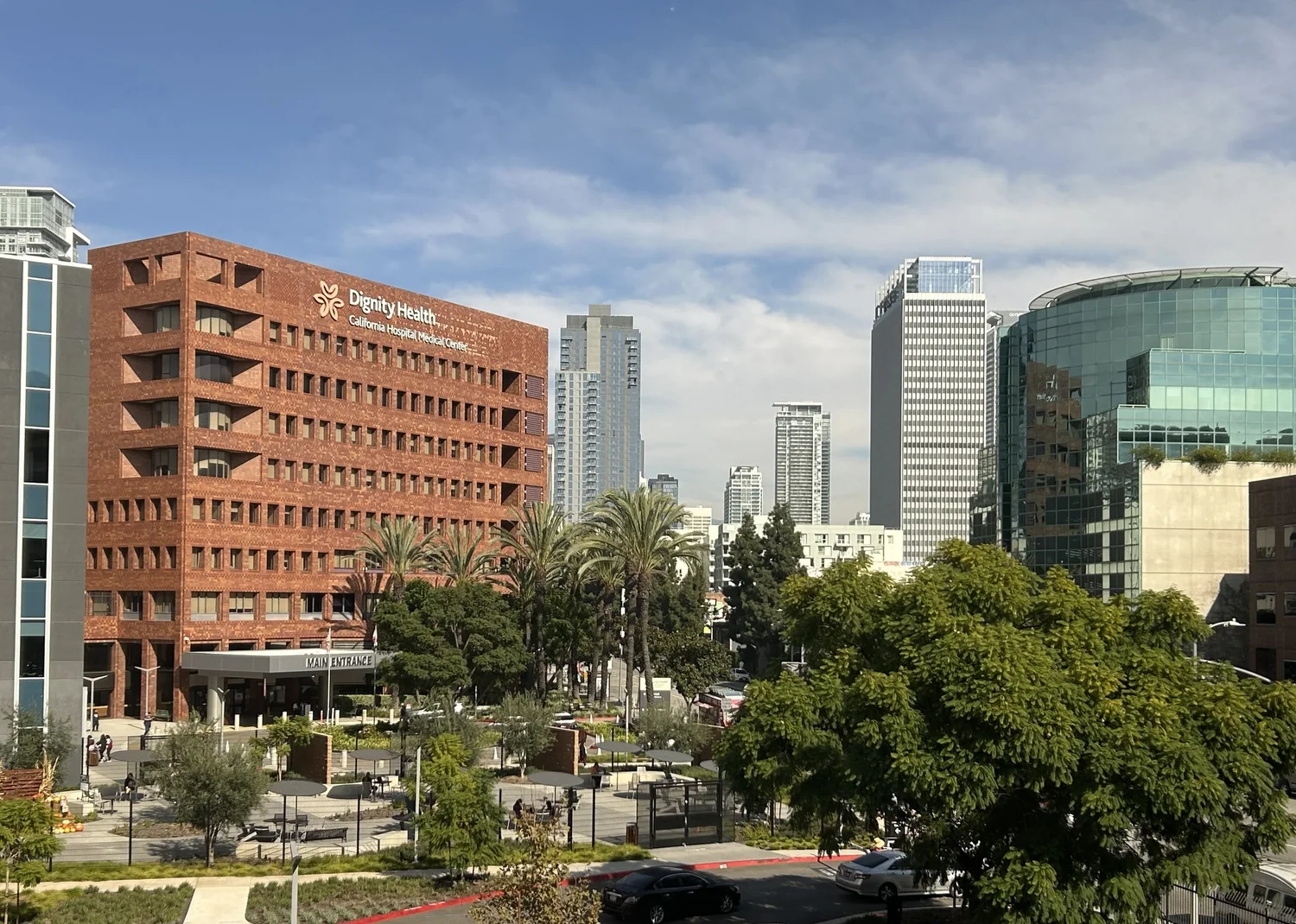 Los Angeles Institute