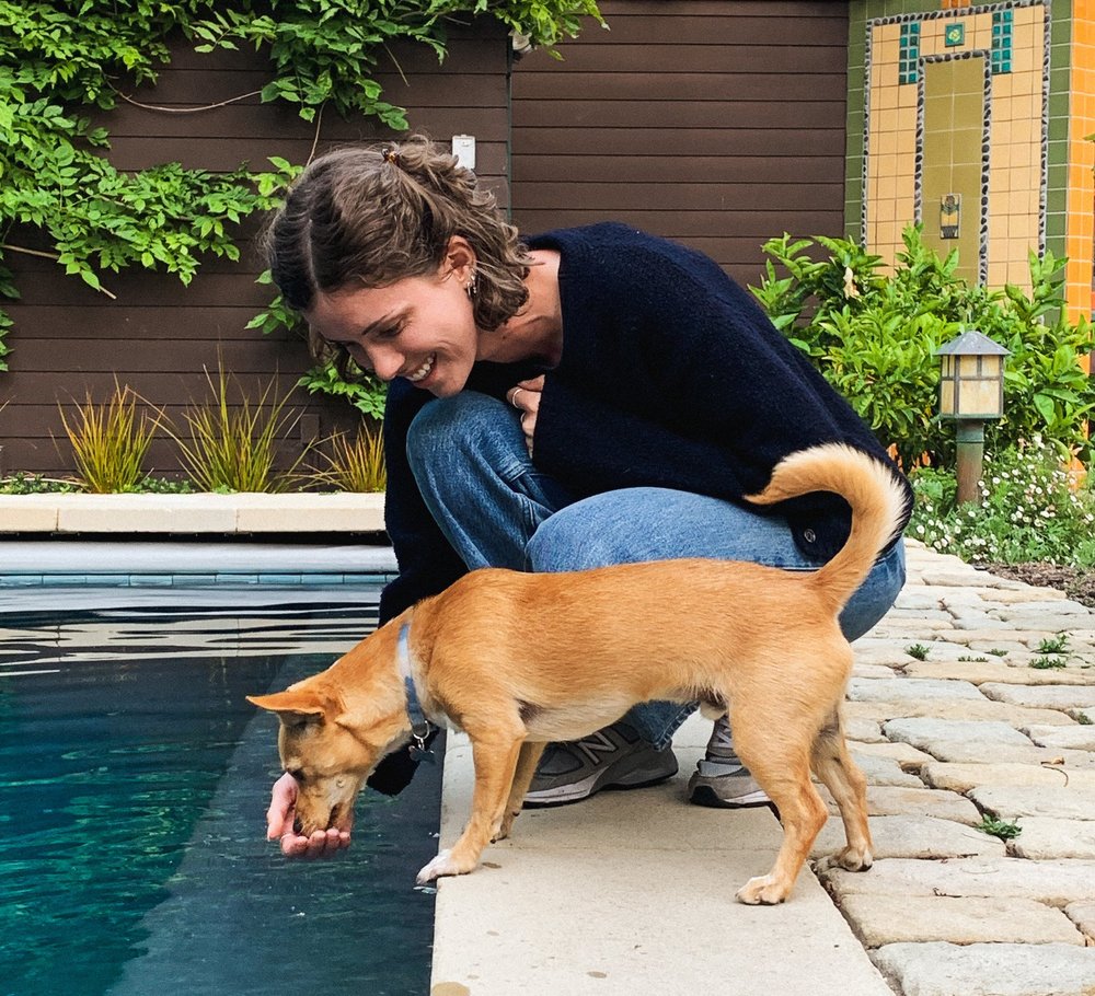 Sandy Dog Rescue
