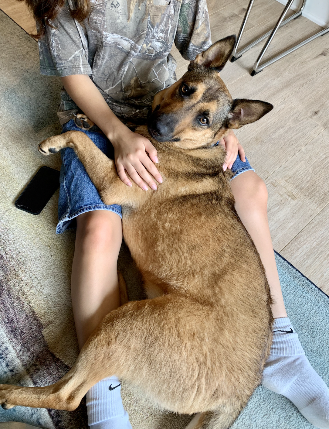 Sandy Dog Rescue