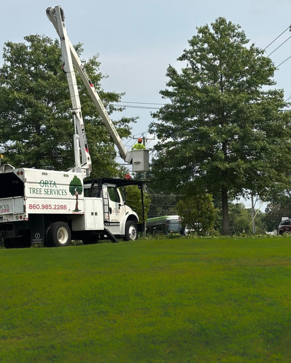 Orta Landscaping LLC