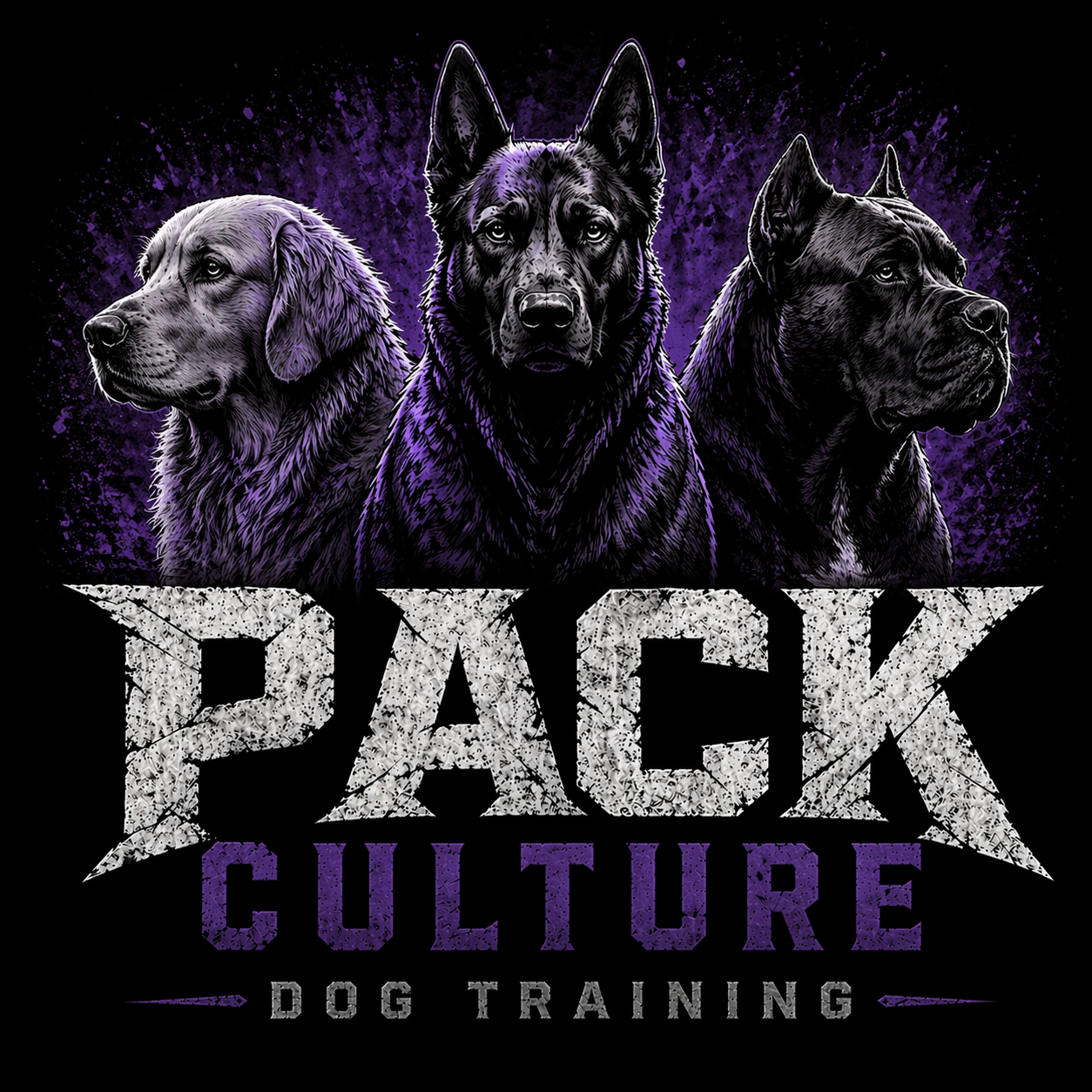 Group Class Schedule — Pack Culture Dog Training