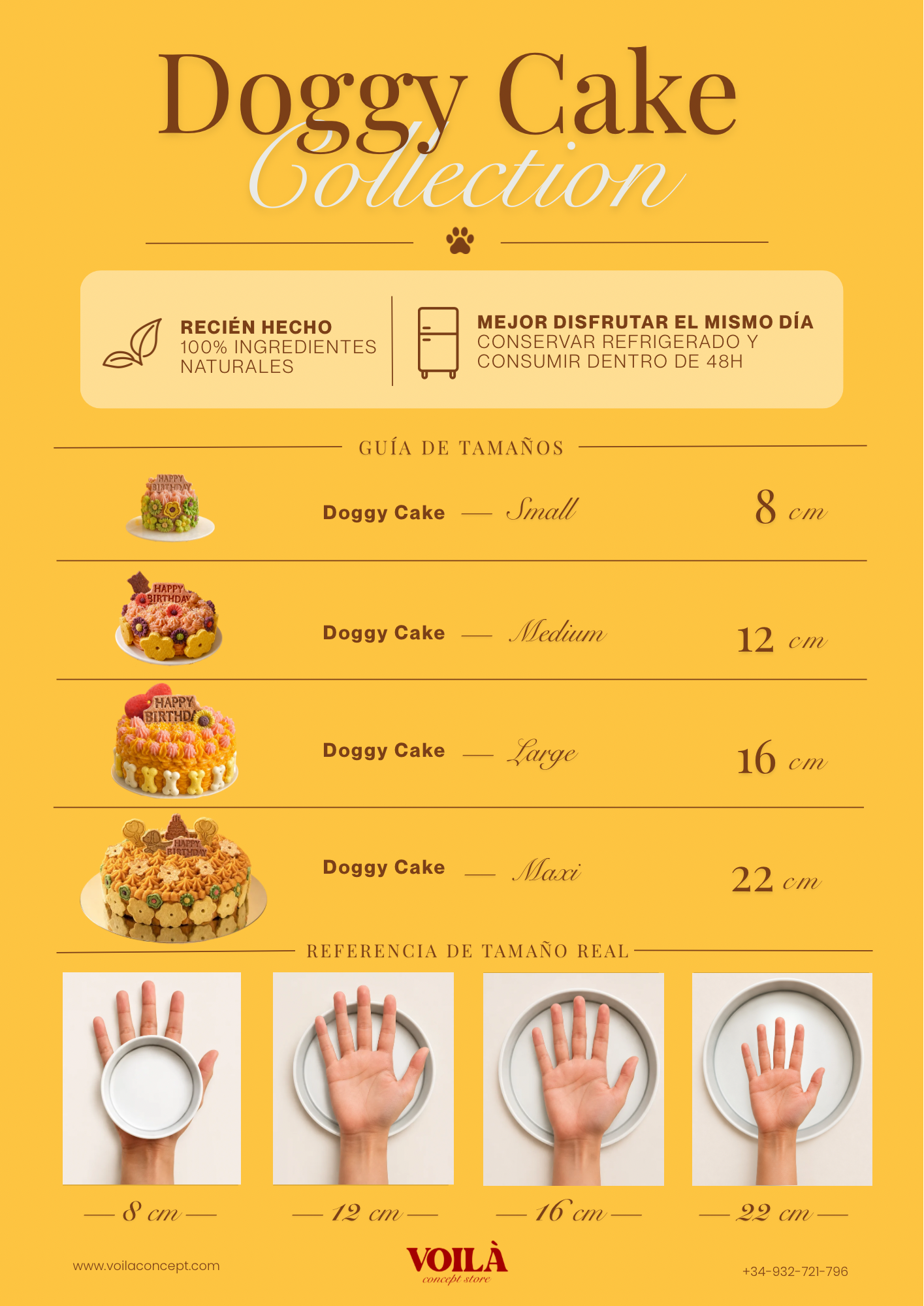 Doggy Cake | Voilà Concept Dog Experiences