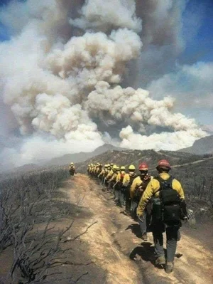 Fire Bug Fire Mitigation and Control | Enhance safety - Contact Us Now