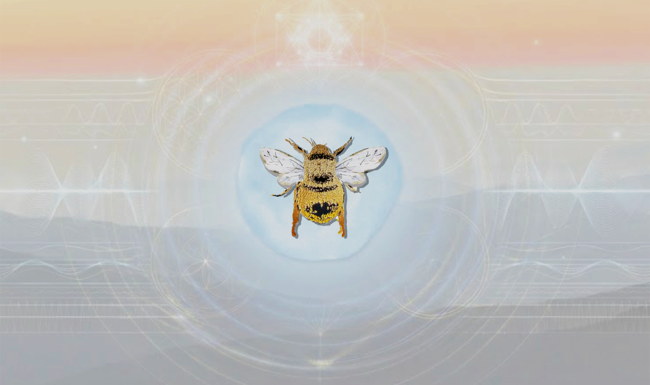 The bumblebee Frequency