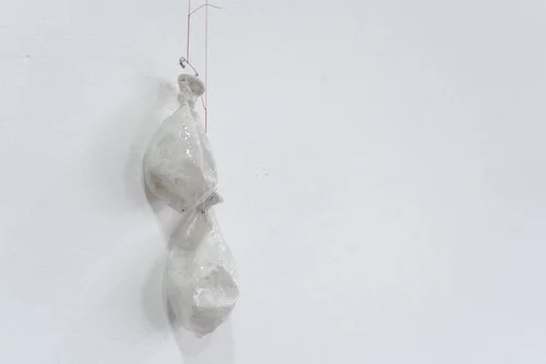Paper + Drawing - Lungs — Jessica Ostrowicz