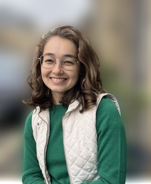 Cheesecake — The South African Baker